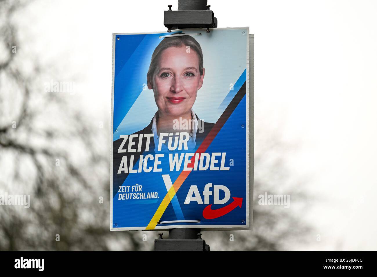 Frankfurt am Mainz Wahlplakate zur Bundestagswahl 2025 Ein Wahlplakat ...