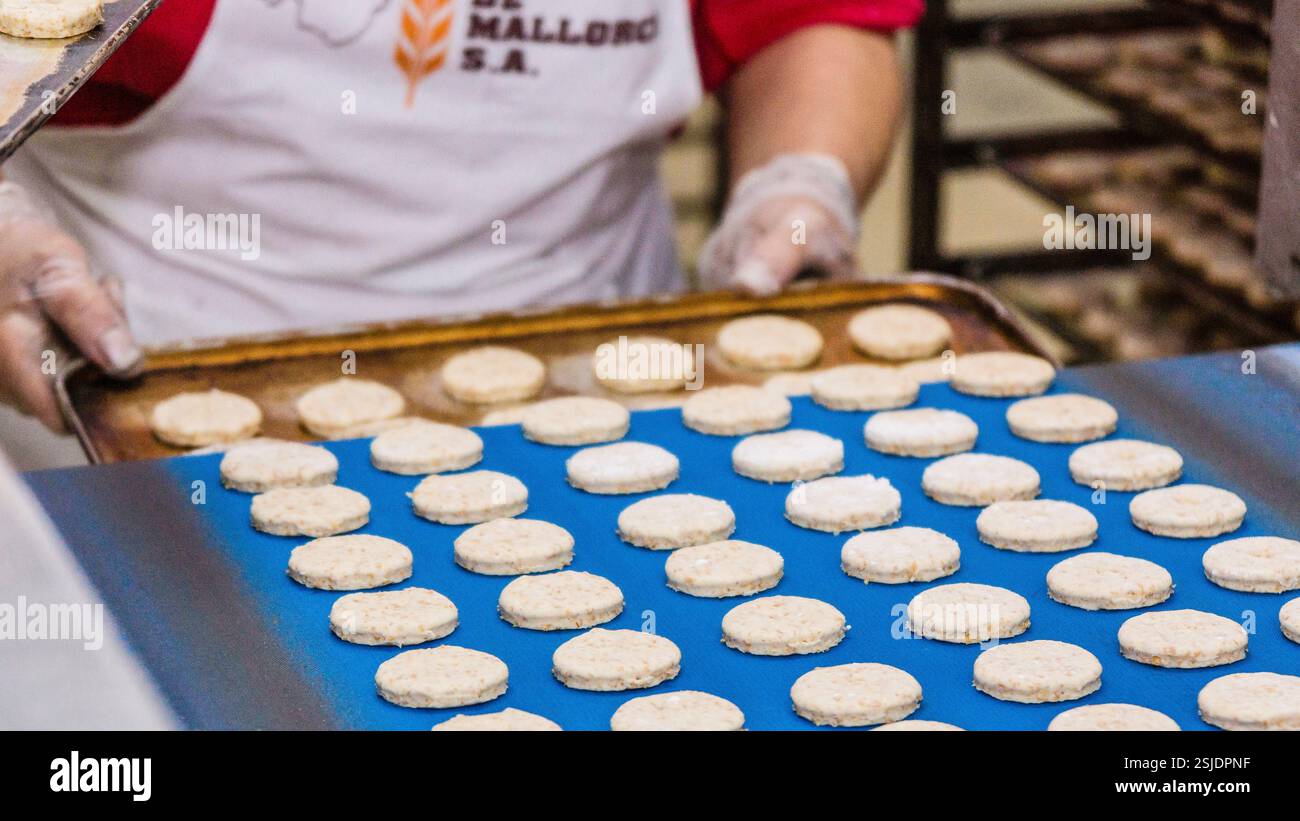 "Gori de Muro" sailor biscuits, typical double-baked Majorcan biscuits ...