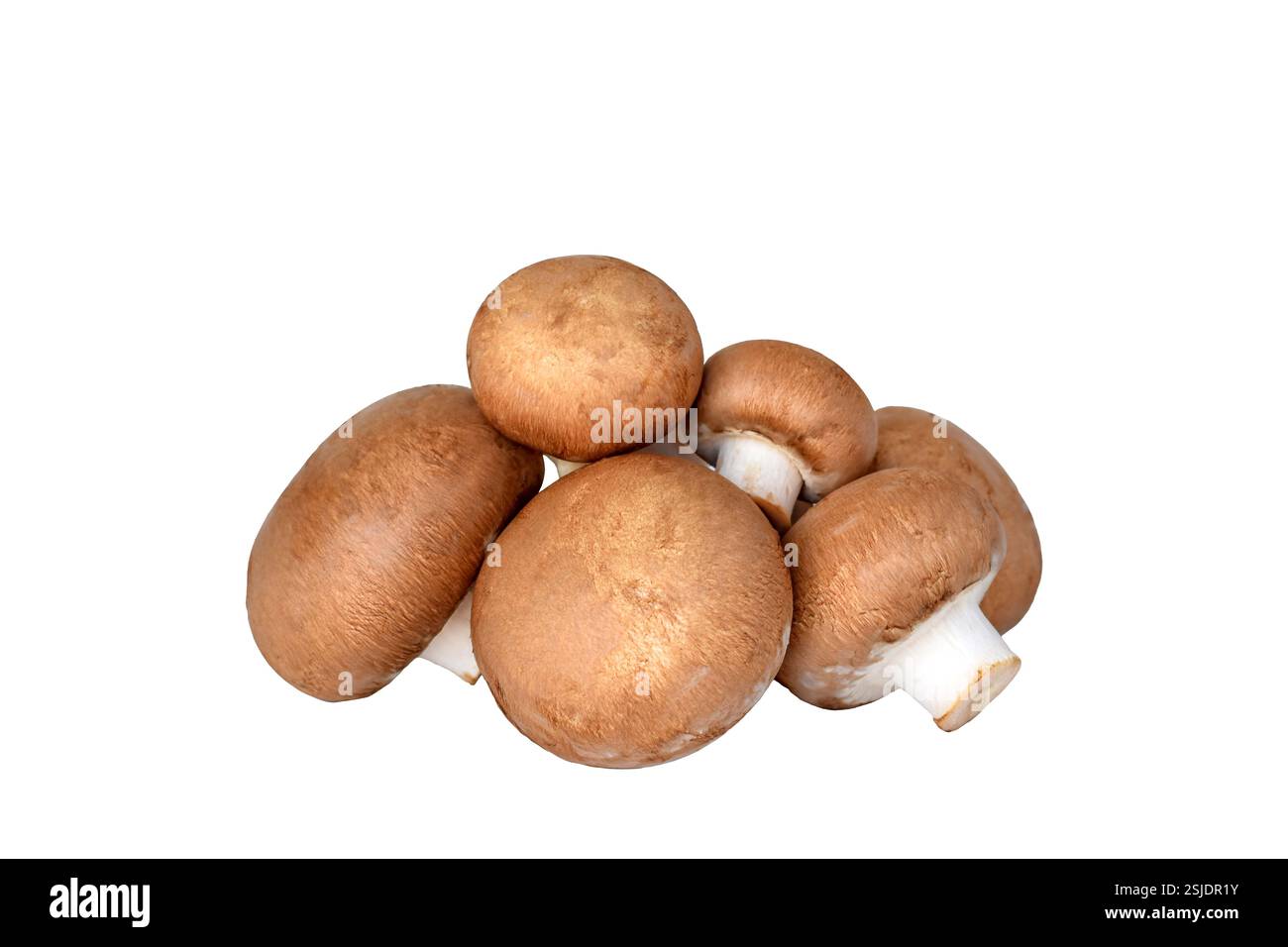 Group of brown Cremini mushrooms on white background Stock Photo - Alamy