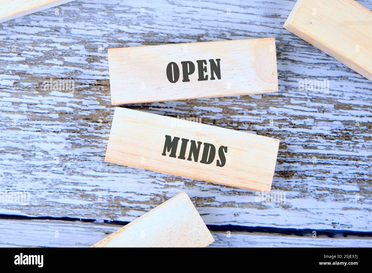 Open minds highlights the importance of a flexible mindset in education ...