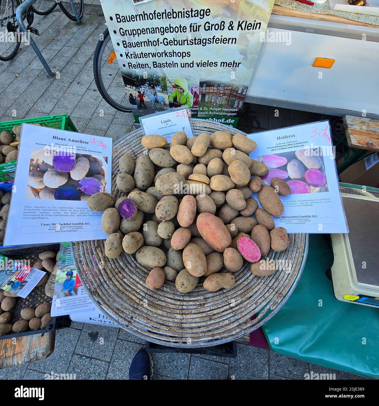 Lively displays hi-res stock photography and images - Alamy