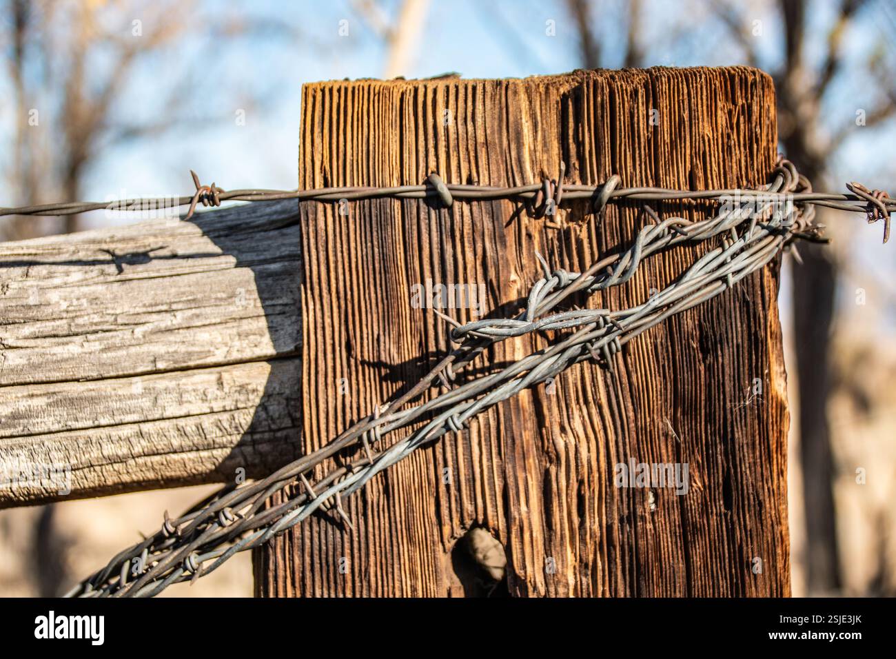Decorative rustic patterns of barbed wire fencing on wood posts Stock ...