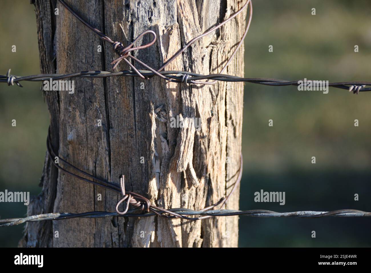 Decorative rustic patterns of barbed wire fencing on wood posts Stock ...