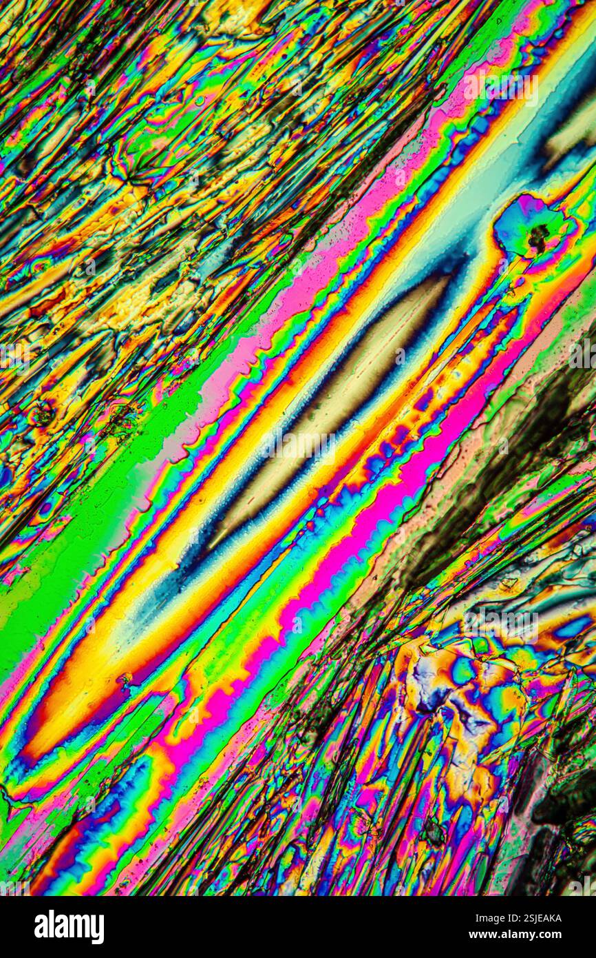 Polarized urea crystals under the microscope Stock Photo - Alamy