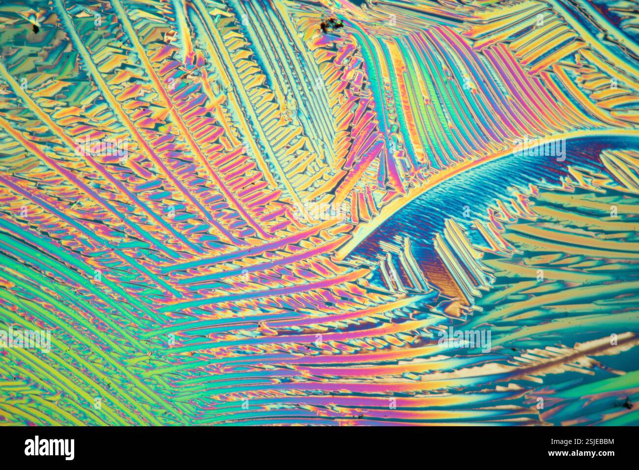 Polarized light microscope hi-res stock photography and images - Alamy