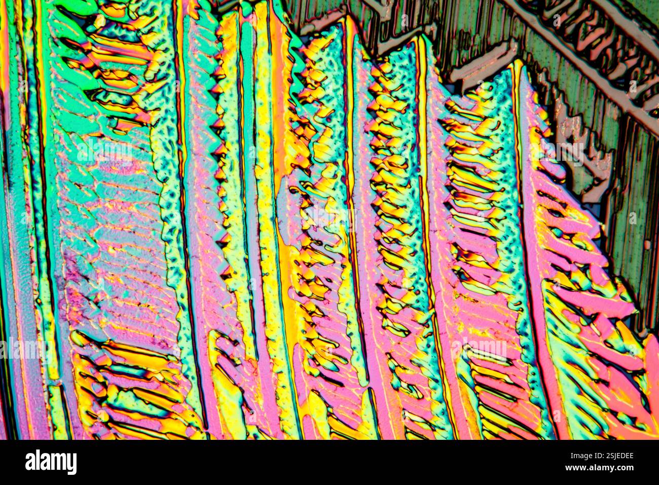 Urea in polarized light, crystals magnified 100x Stock Photo - Alamy
