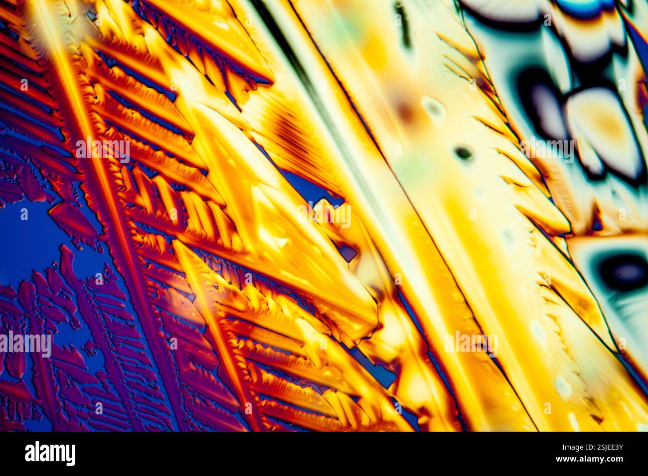 Urea in polarized light, crystals magnified 100x Stock Photo - Alamy