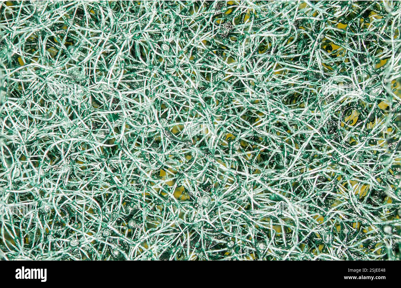 Cleaning microscope hi-res stock photography and images - Alamy