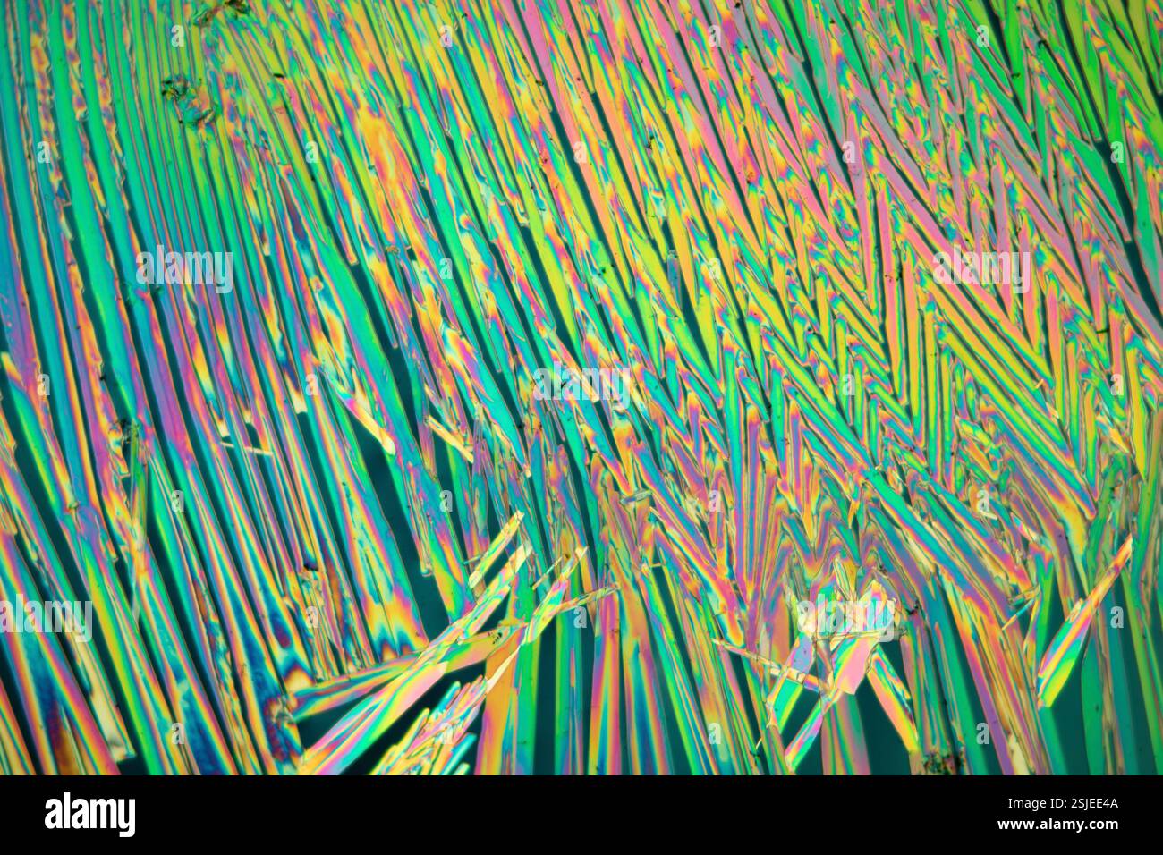 Polarized light microscope hi-res stock photography and images - Alamy