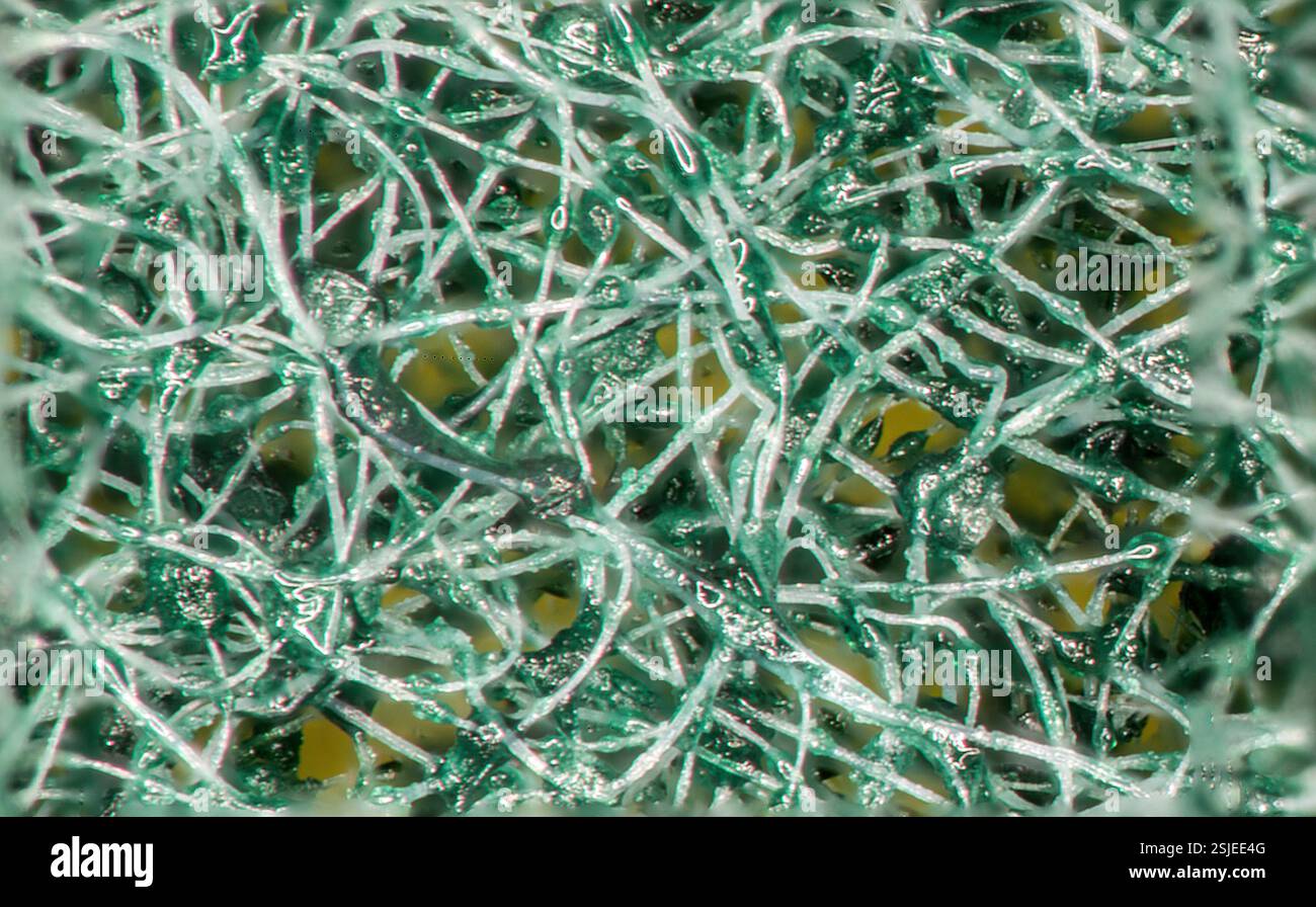 Cleaning microscope hi-res stock photography and images - Alamy