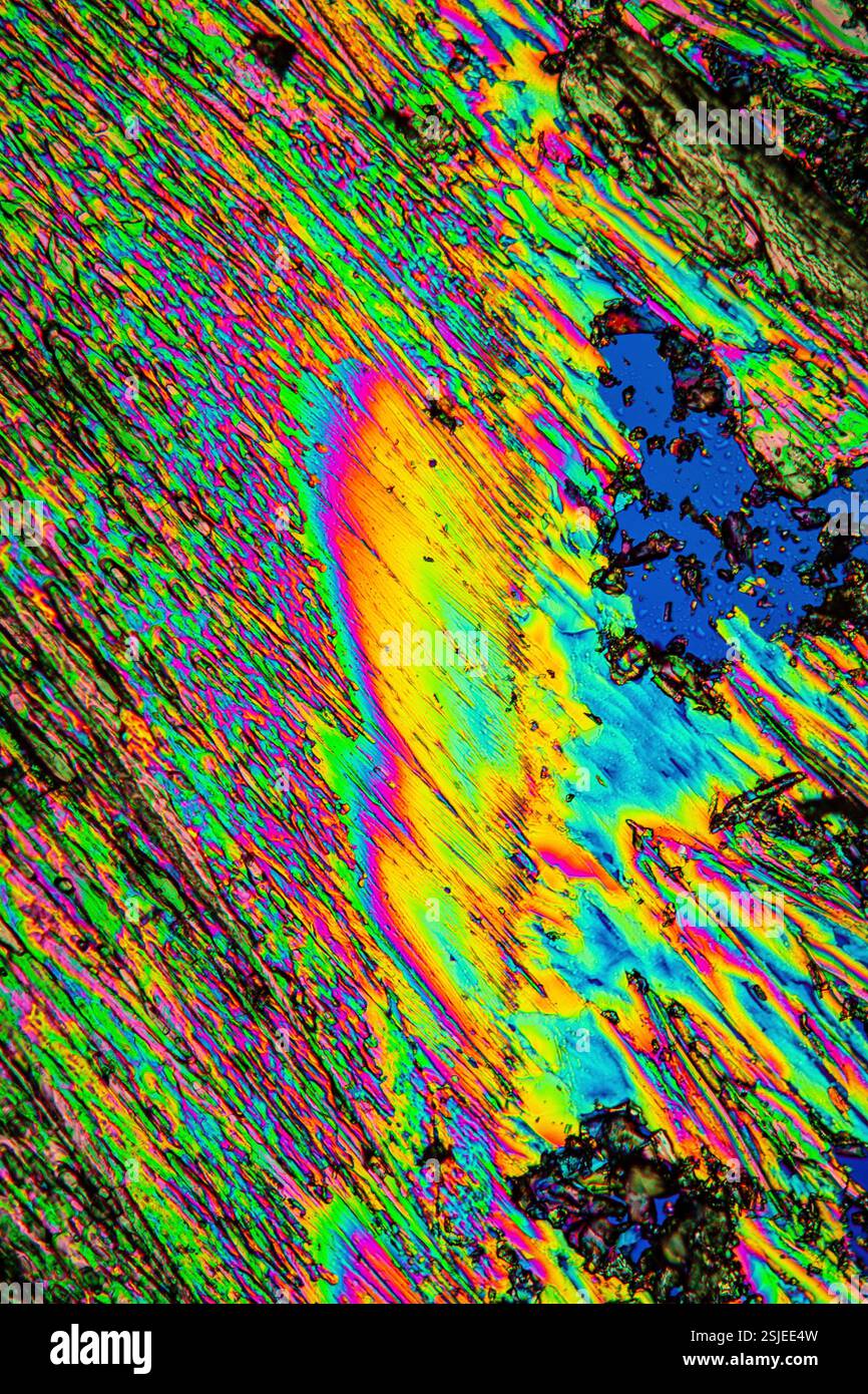 Polarized urea crystals under the microscope Stock Photo - Alamy