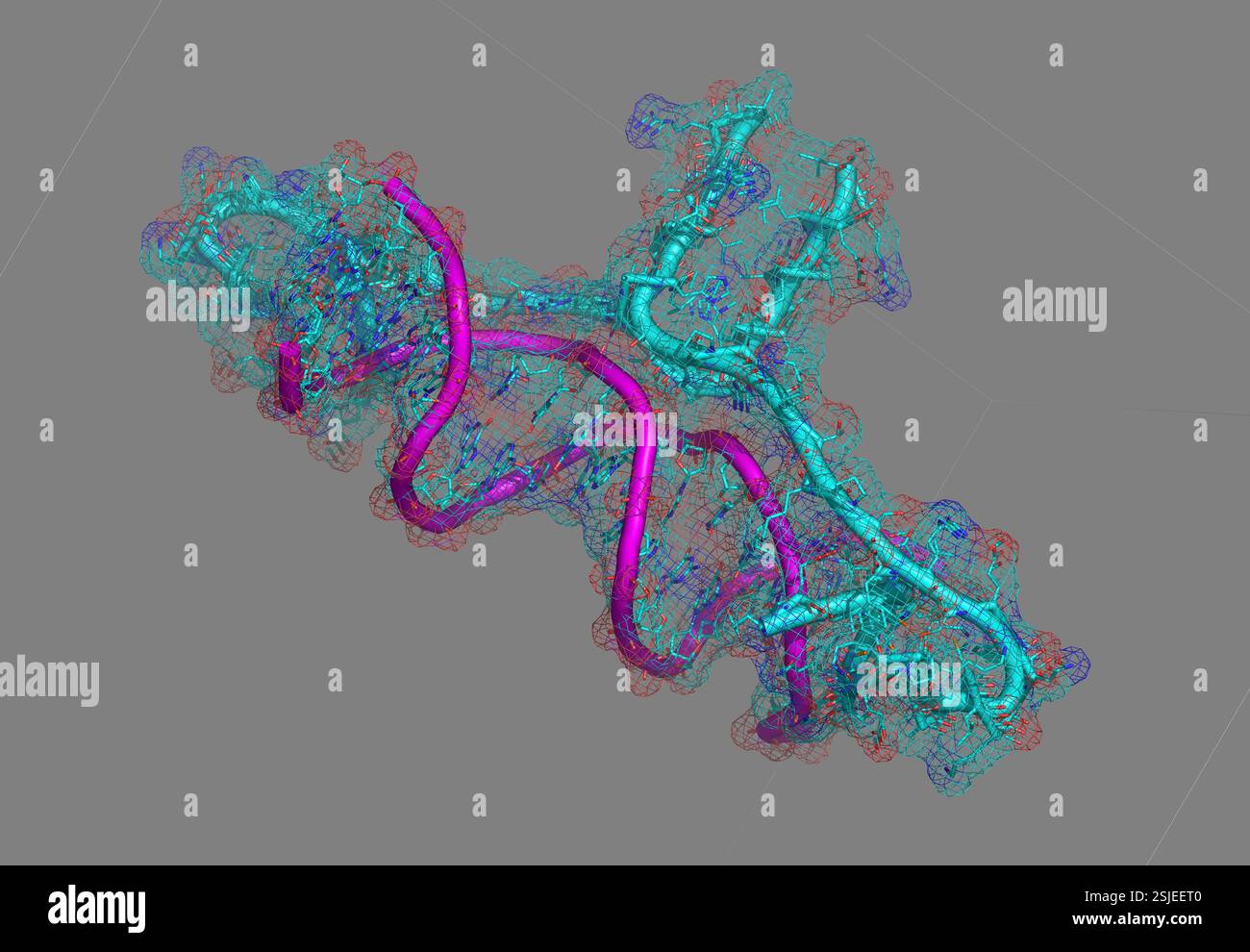 DNA molecule model Stock Photo - Alamy