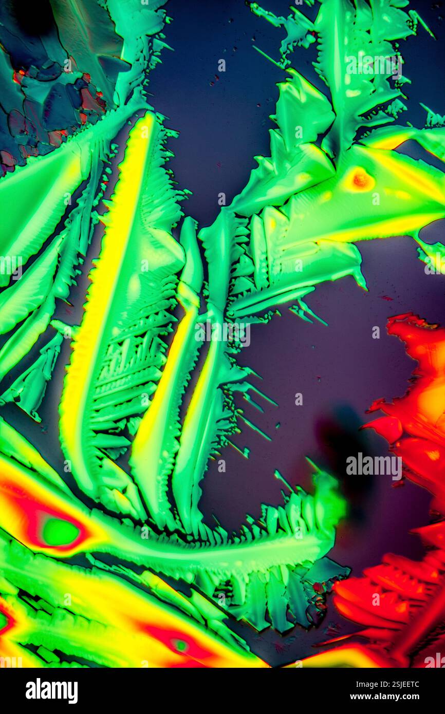 Urea in polarized light, crystals magnified 100x Stock Photo - Alamy