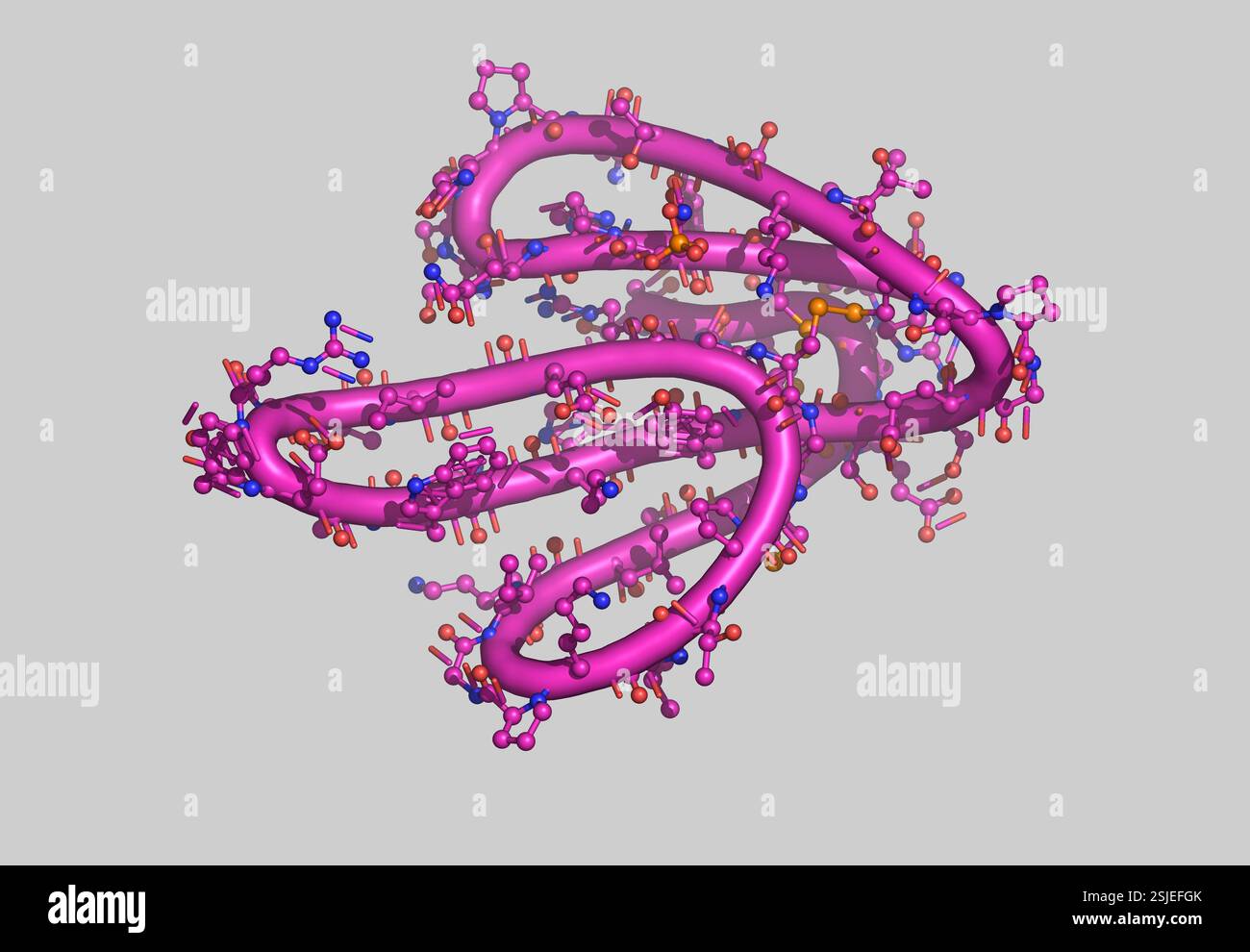 Animal venom as a molecular model Stock Photo - Alamy