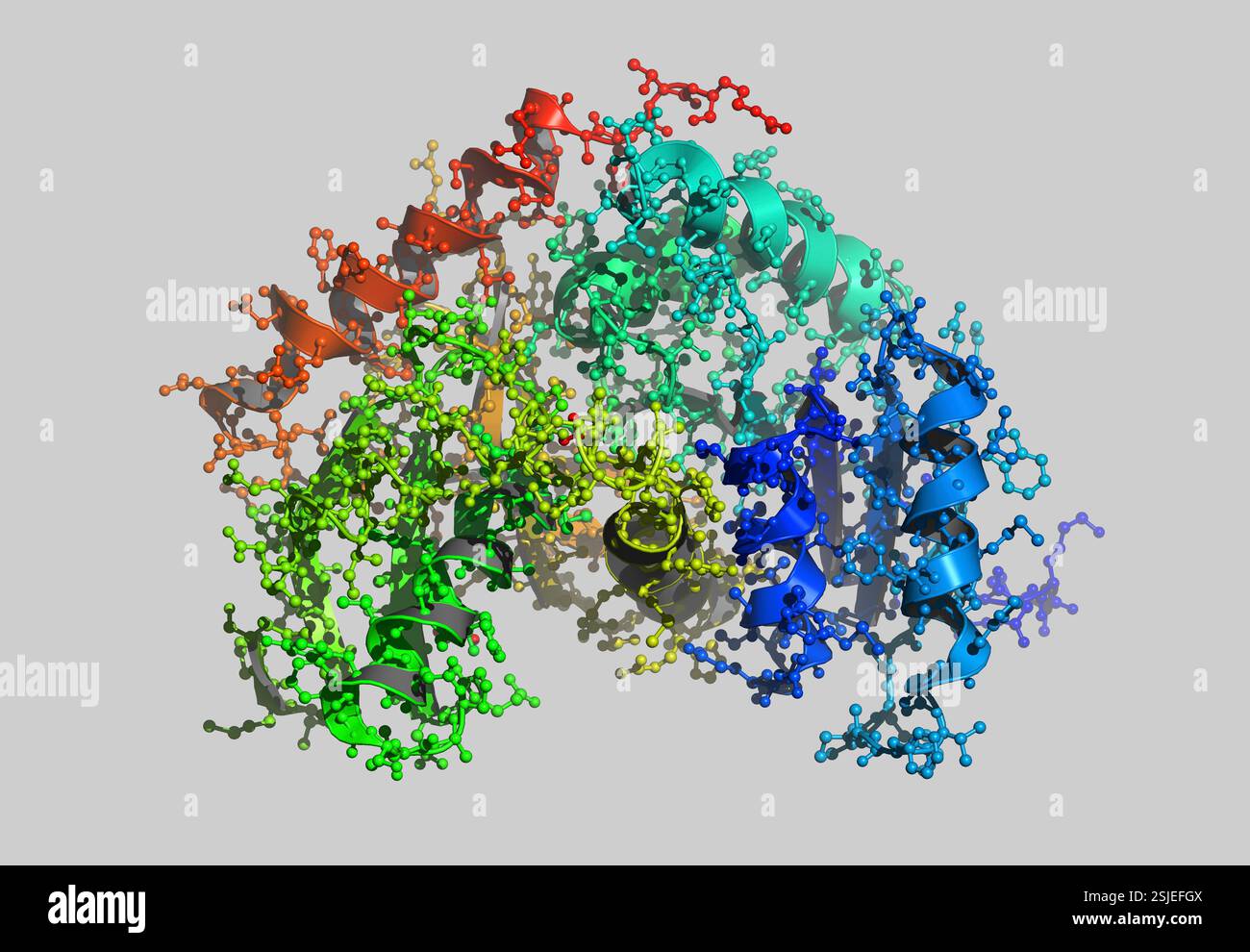 Lactic acid fermentation as a molecular model Stock Photo - Alamy