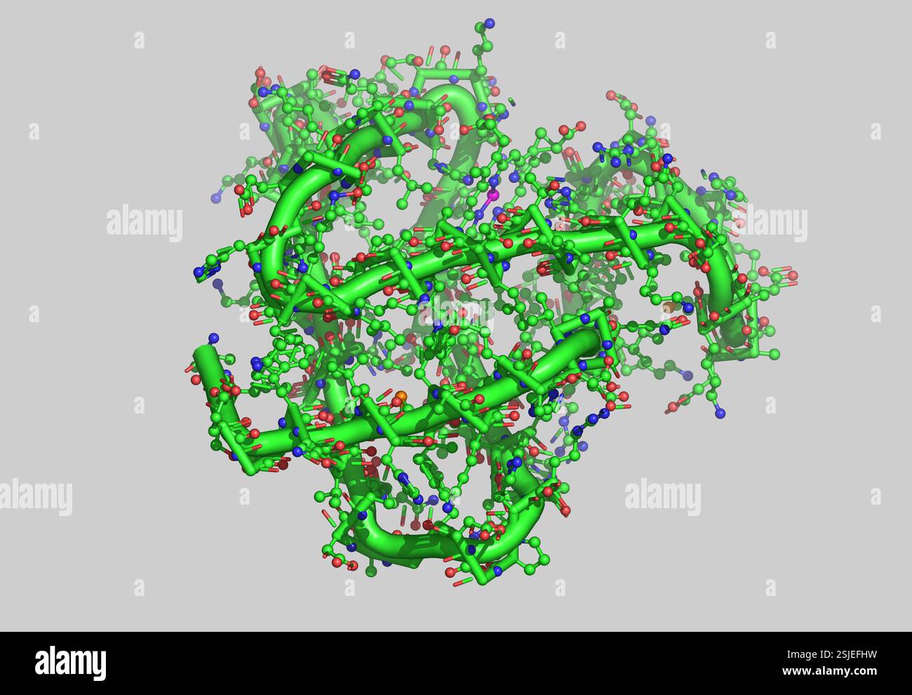 Muscle protein, protein as a molecular model Stock Photo - Alamy