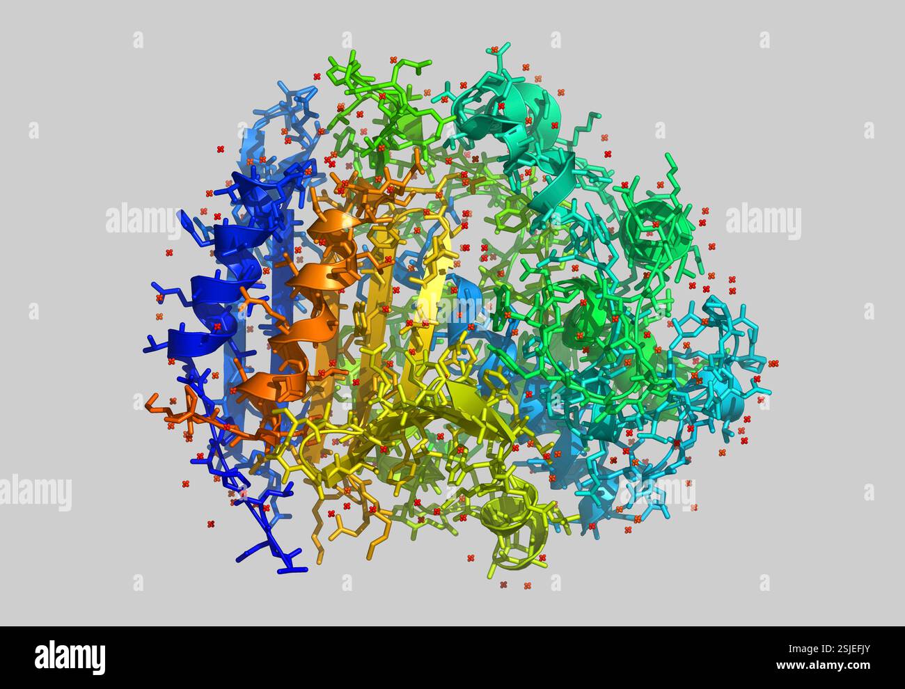 Protein, enzyme as a molecular model Stock Photo - Alamy