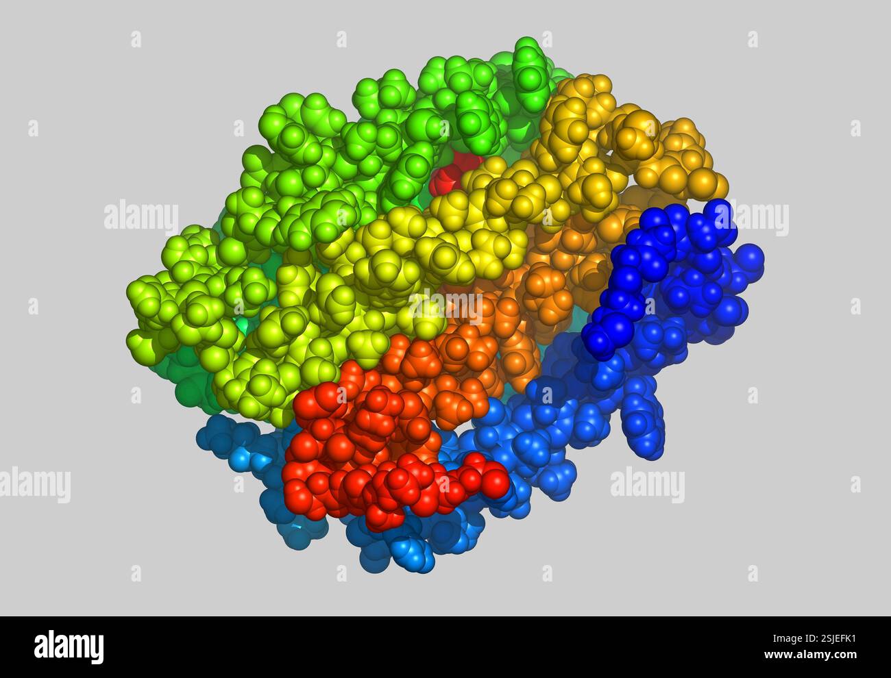 Model of bacteria hi-res stock photography and images - Alamy