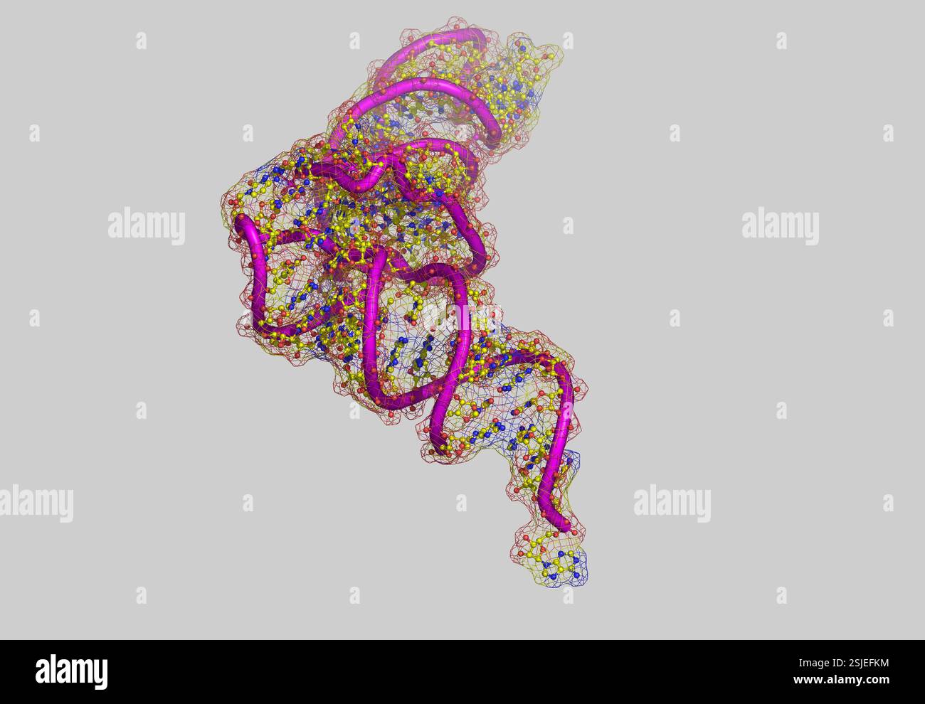 Genetic material as a molecular model Stock Photo - Alamy