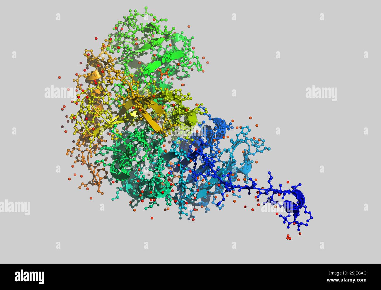 Lactic acid fermentation as a molecular model Stock Photo - Alamy