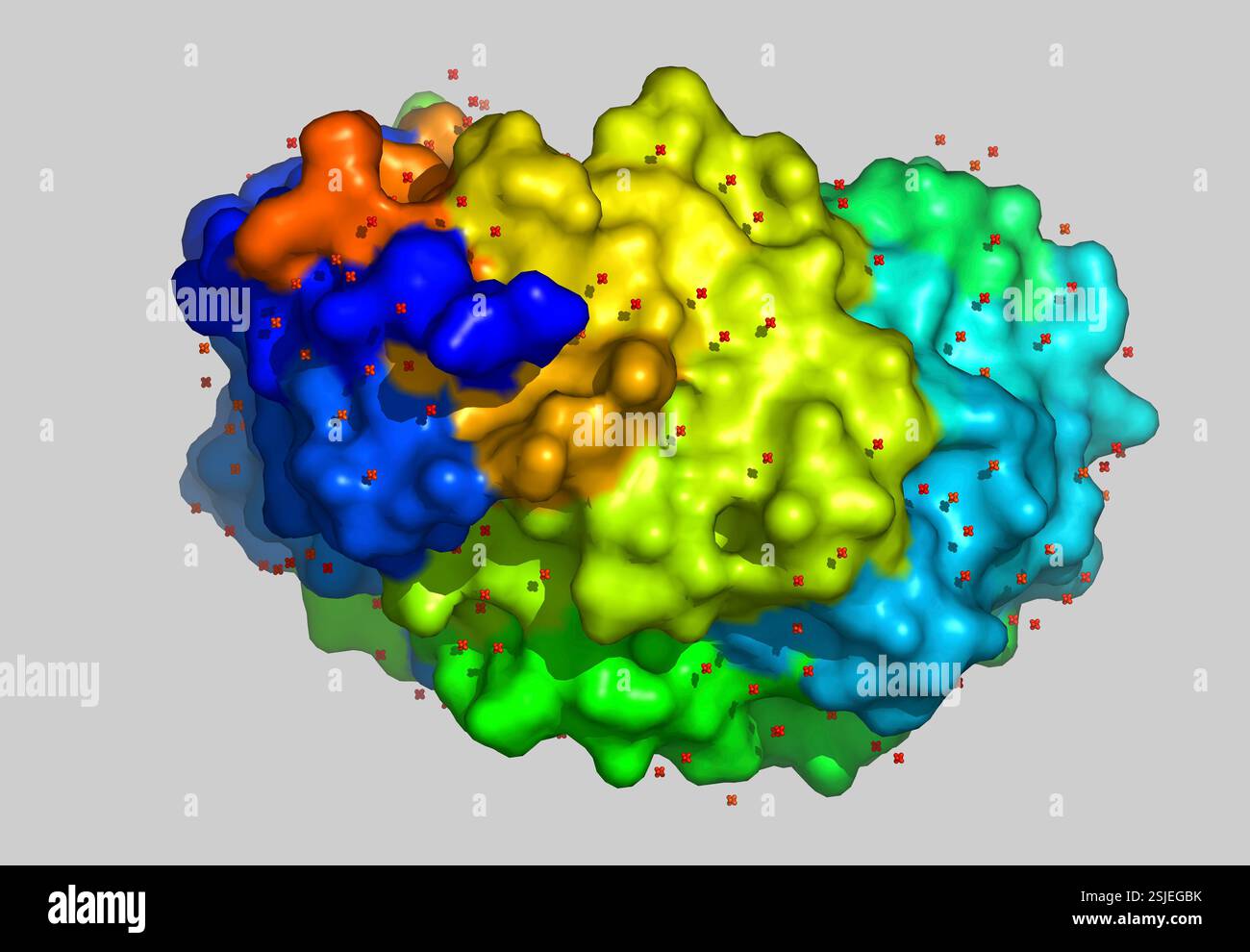 Protein, enzyme as a molecular model Stock Photo - Alamy