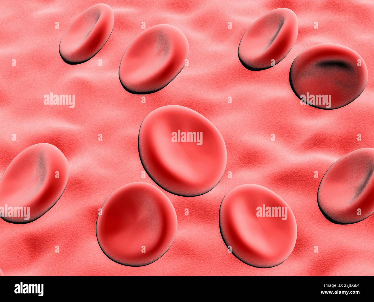 Blood cells in the aorta Stock Photo - Alamy