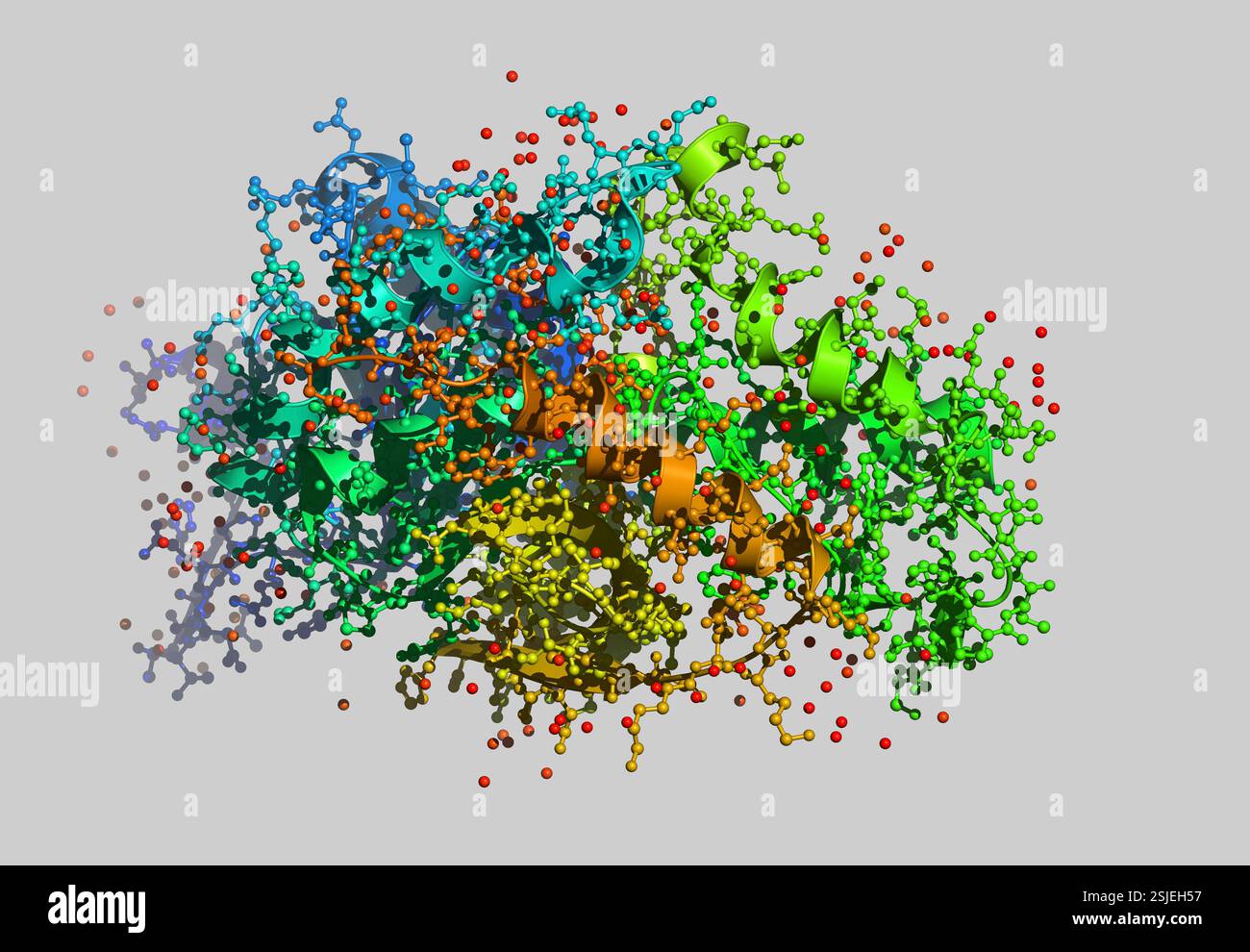 Lactic acid fermentation as a molecular model Stock Photo - Alamy