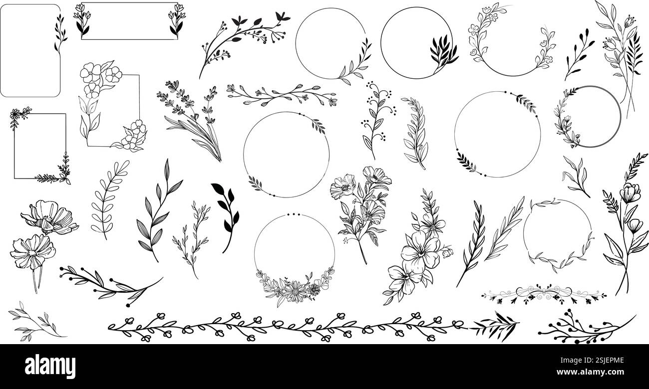 Vector leaves flowers collection Cut Out Stock Images & Pictures - Alamy