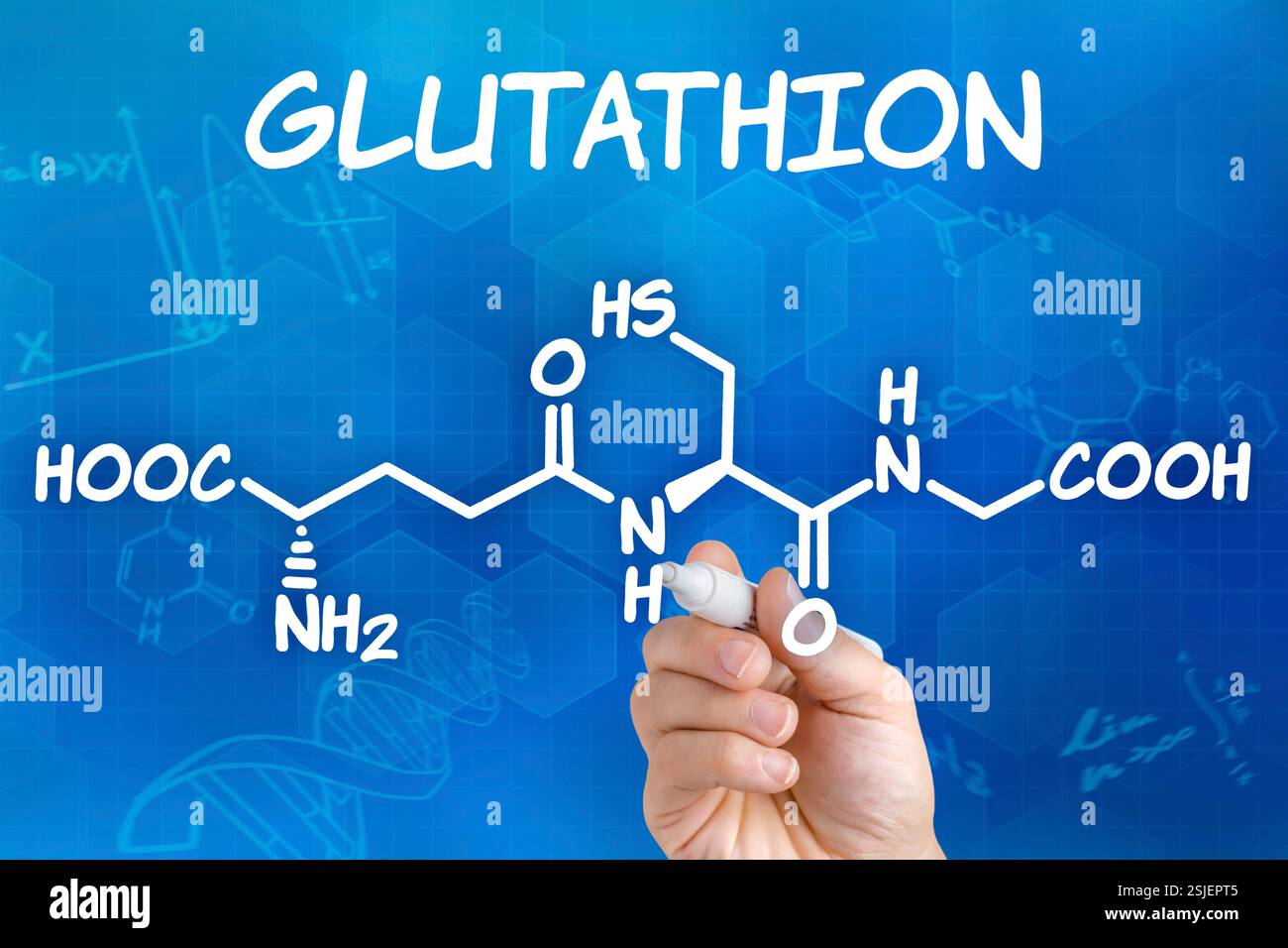 Hand with pencil draws chemical structural formula of glutathione Stock ...