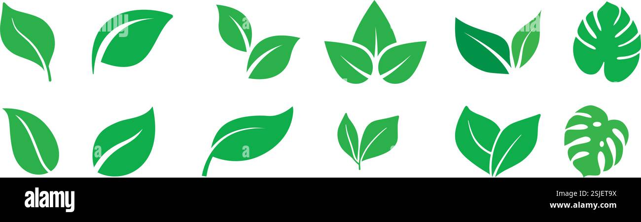 Vibrant green leaf detailed Stock Vector Images - Alamy