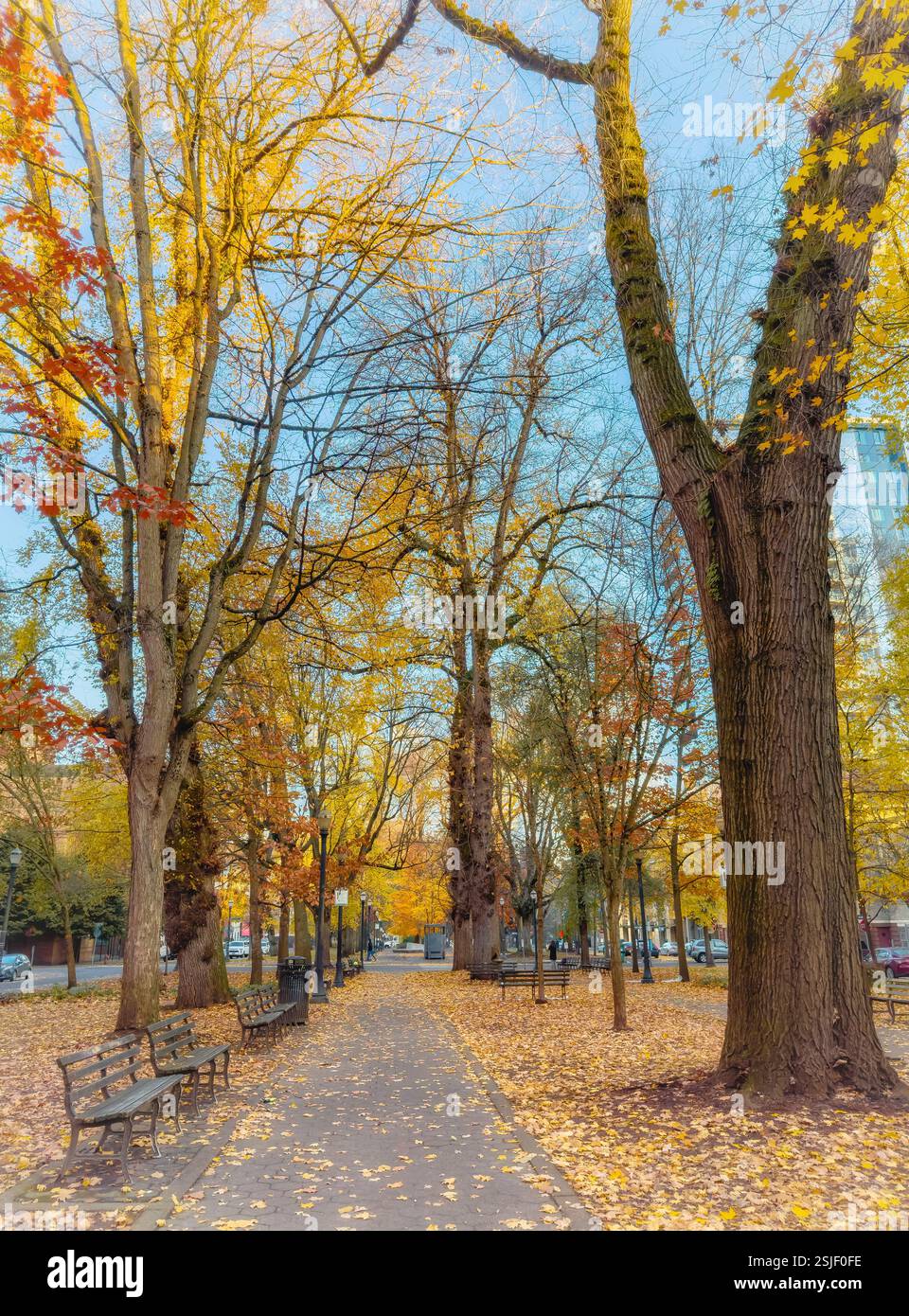 A picturesque path winds through a park in Portland, Oregon, lined with ...