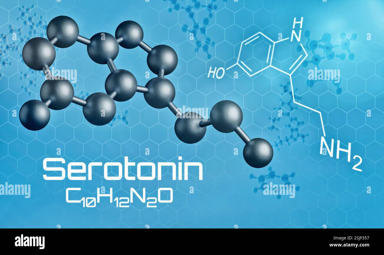 Three-dimensional molecular structure of serotonin Stock Photo - Alamy