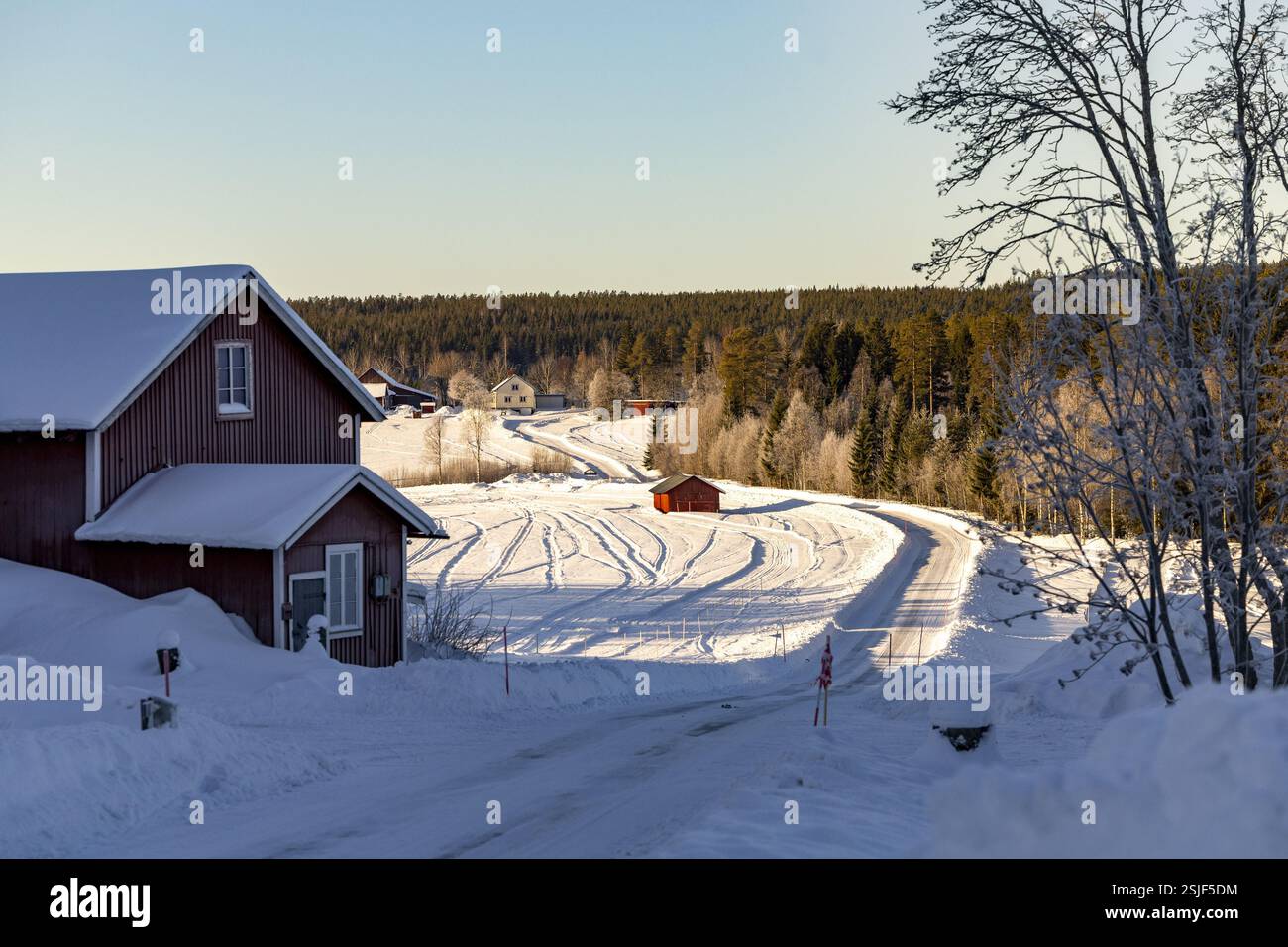 ambiance during the 2025 Rally Sweden, 2nd round of the 2025 WRC World ...