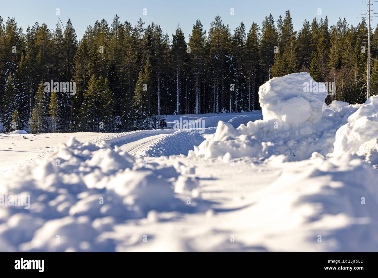 ambiance during the 2025 Rally Sweden, 2nd round of the 2025 WRC World ...