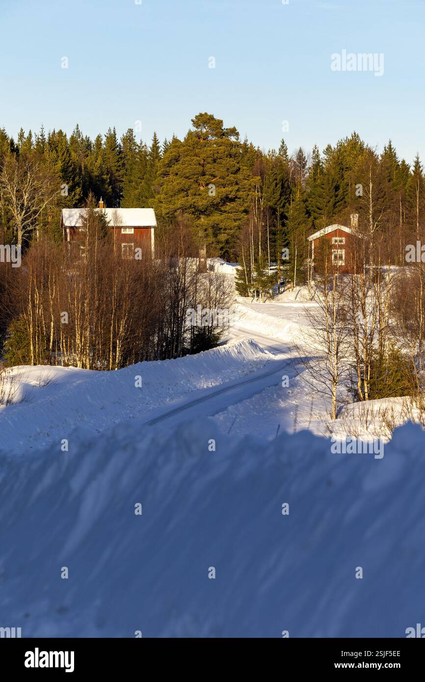 ambiance during the 2025 Rally Sweden, 2nd round of the 2025 WRC World ...