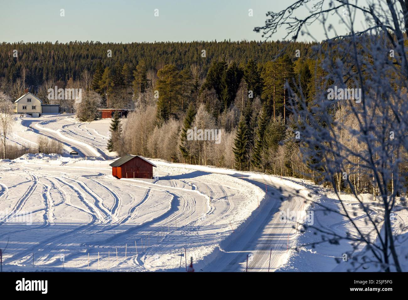 ambiance during the 2025 Rally Sweden, 2nd round of the 2025 WRC World ...