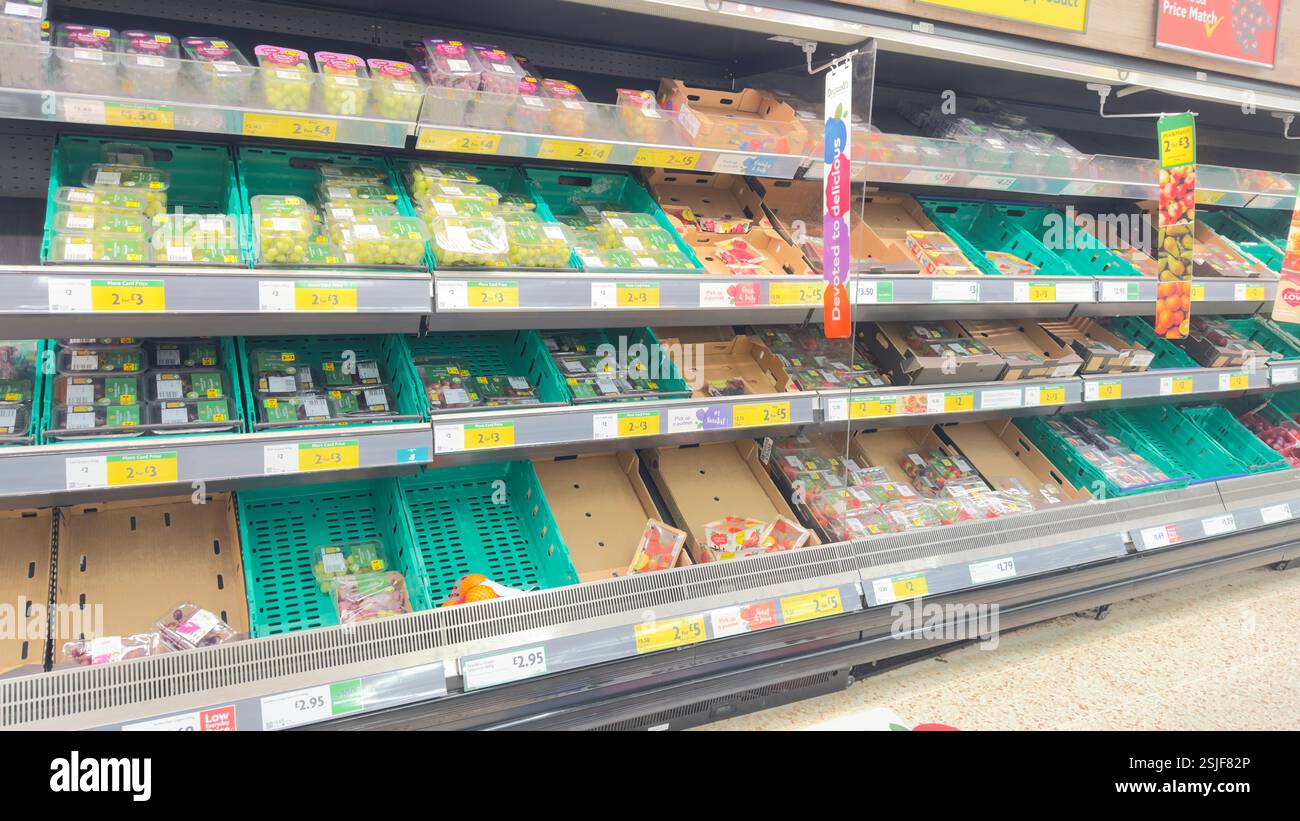 A refrigerated grocery store display showcasing various types of grapes ...