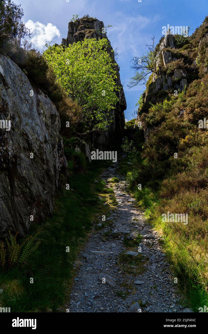 Lush rocky north wales hillside hi-res stock photography and images - Alamy
