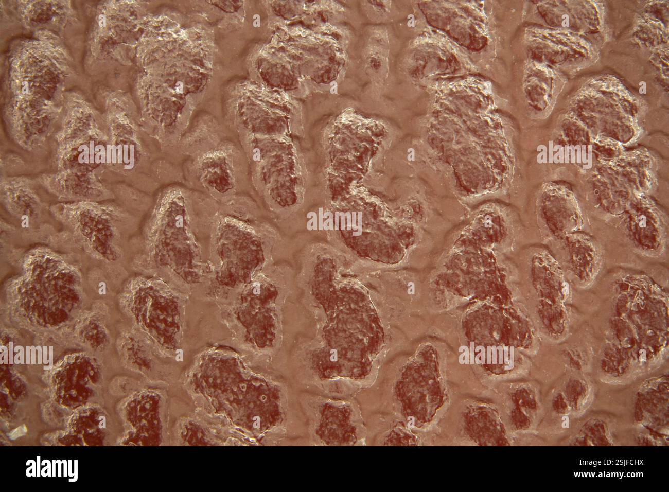 The spine is covered with animal skin leather Stock Photo - Alamy