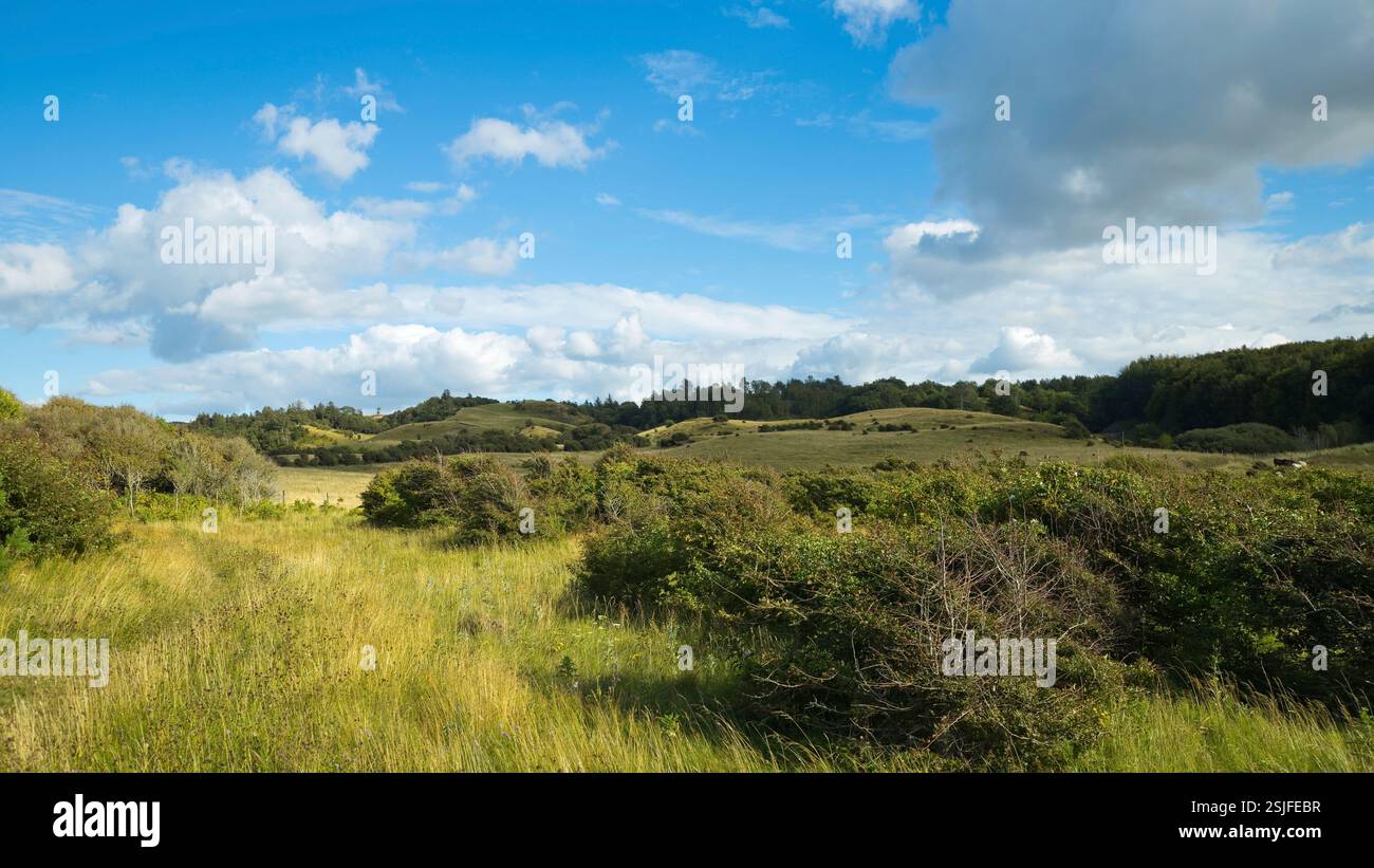 Landscape at the Limfjord in Denmark Stock Photo - Alamy