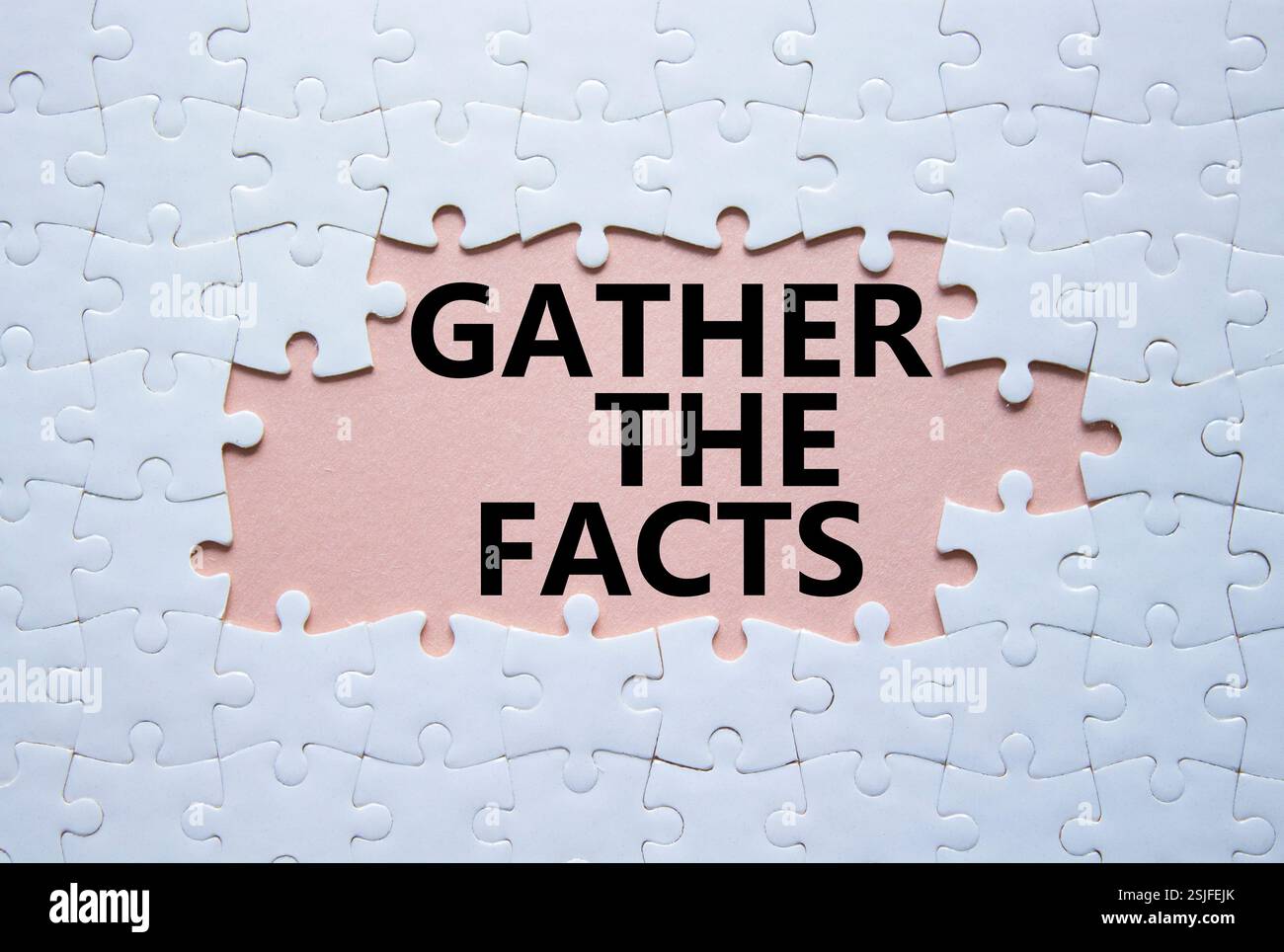 Gather the facts symbol. Concept words Gather the facts on white puzzle ...