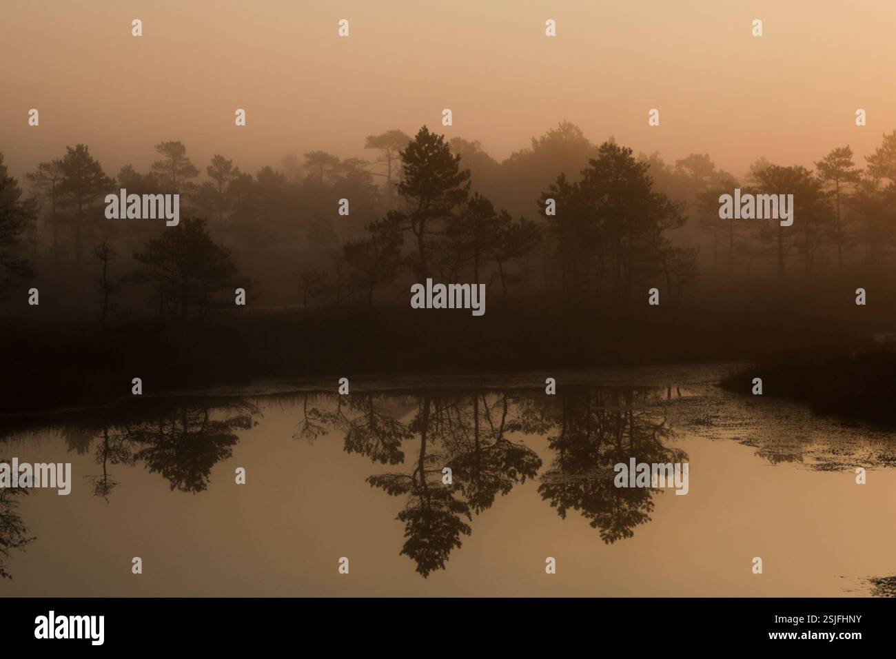 Ethereal scenery hi-res stock photography and images - Alamy