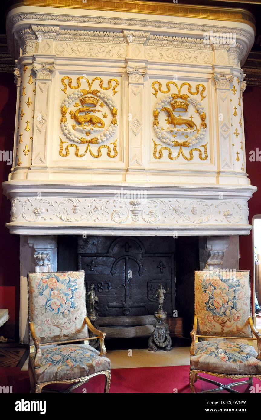 The Renaissance style fireplace decorated with the Salamander and the ...