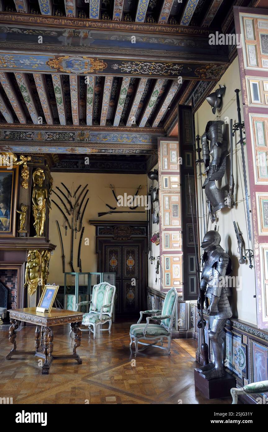 weapons room, Château de Cheverny, Cheverny, France, Europe Stock Photo ...