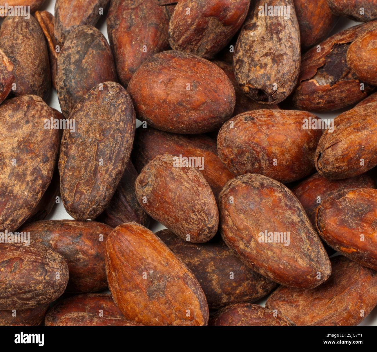 Close up view of raw cocoa beans creating a richly textured food ...