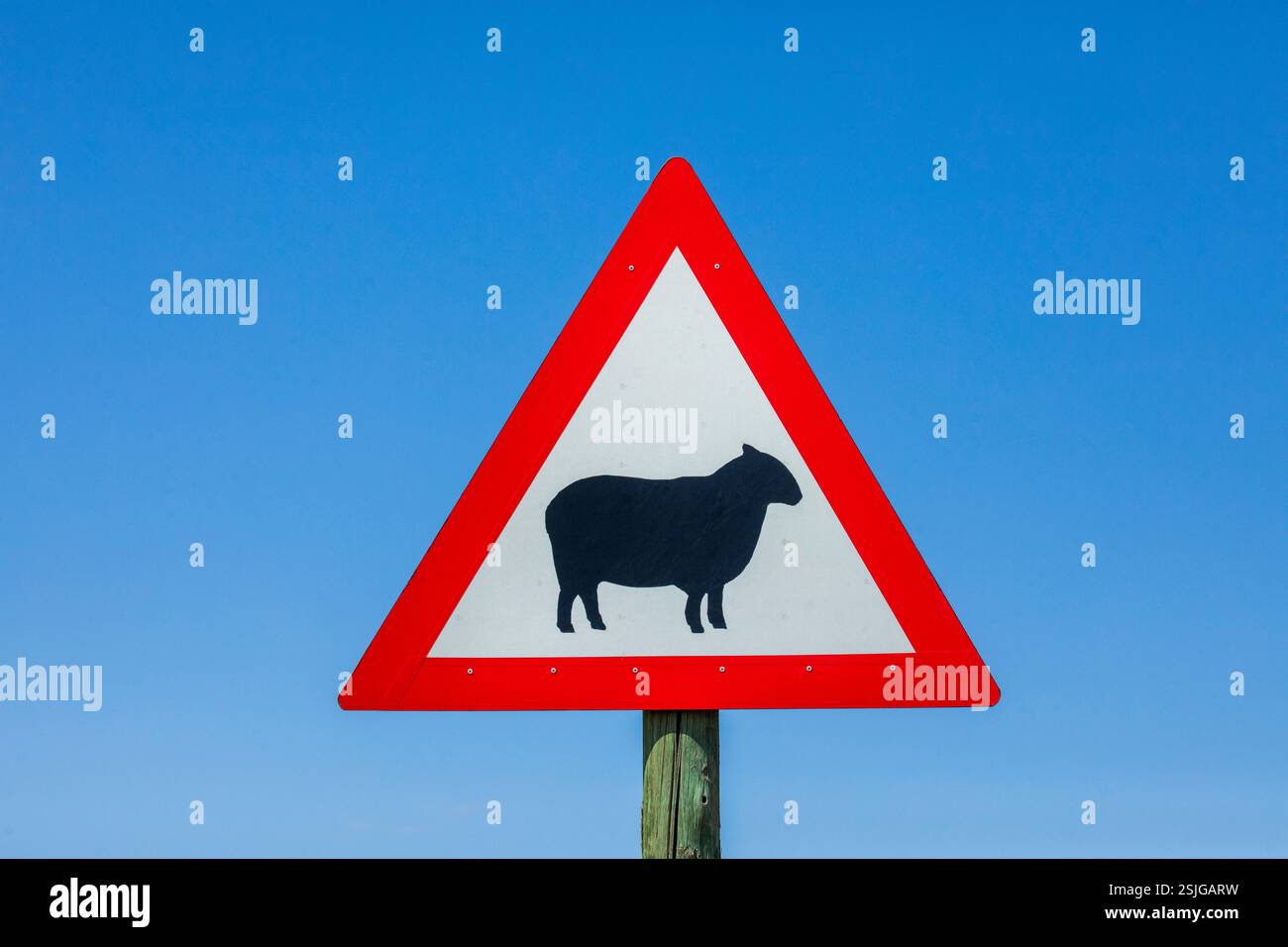 Africa, Northern Cape Province, Sign, Signpost, warning sign Stock ...
