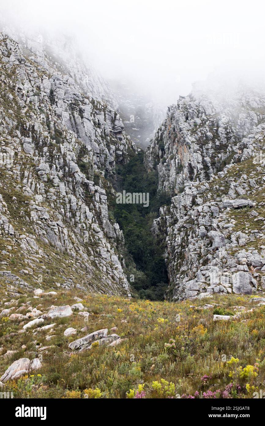 Africa, Fynbos, Karoo, South Africa, Swartberg Nature Reserve ...