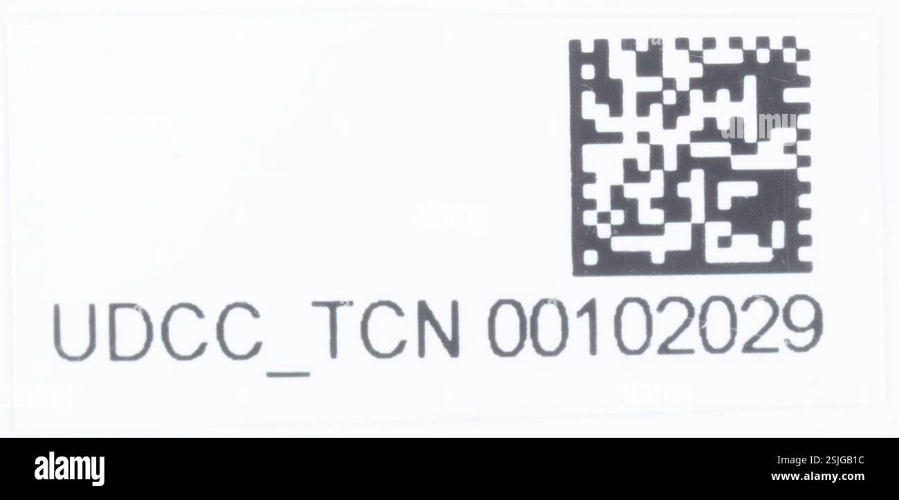 (Haplaxius tekmar), Insecta, Centro, Zimapán, Hgo., Mexico, This is a ...