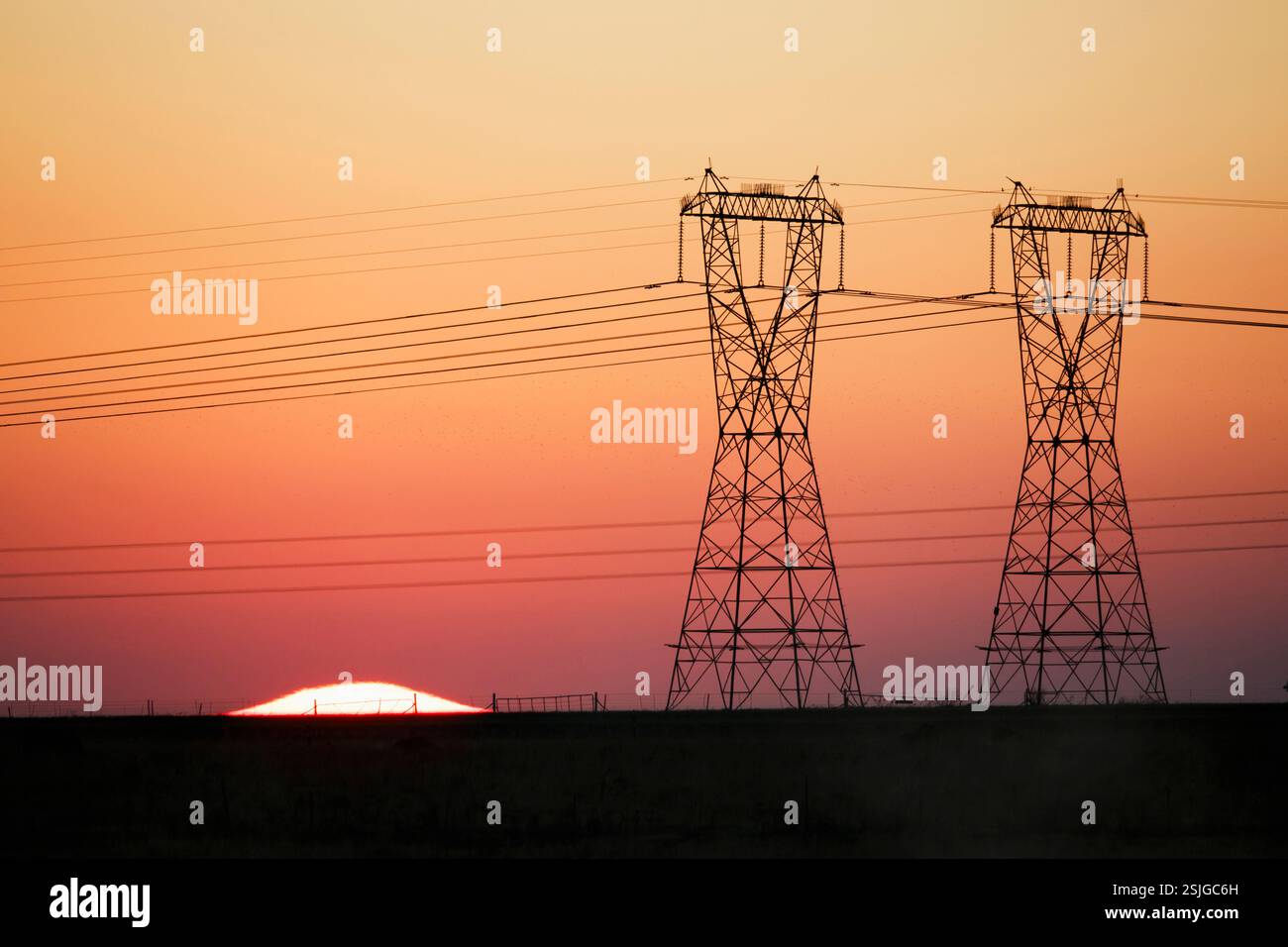 Africa, Gauteng Province, Marievale Bird Sanctuary, Powerlines, South ...