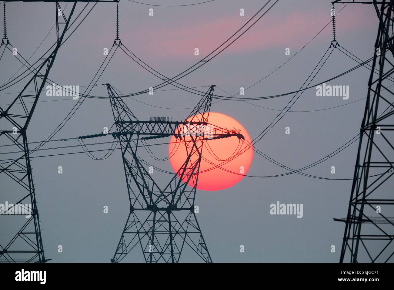 Africa, Gauteng Province, Marievale Bird Sanctuary, Powerlines, South ...